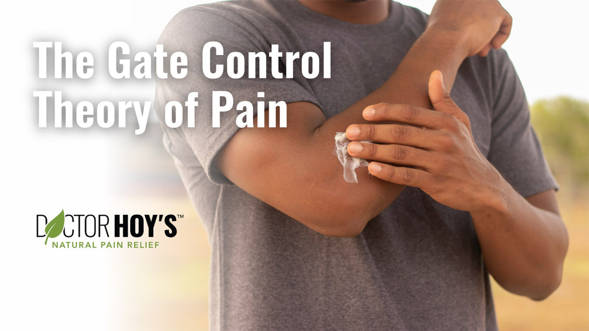 The Pain Gate Theory – Doctorhoys.com